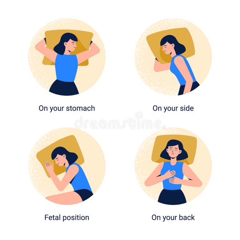 Fetal Positions Stock Illustrations – 56 Fetal Positions Stock ... Fetal Positions Stock Illustrations – 56 Fetal Positions Stock ...