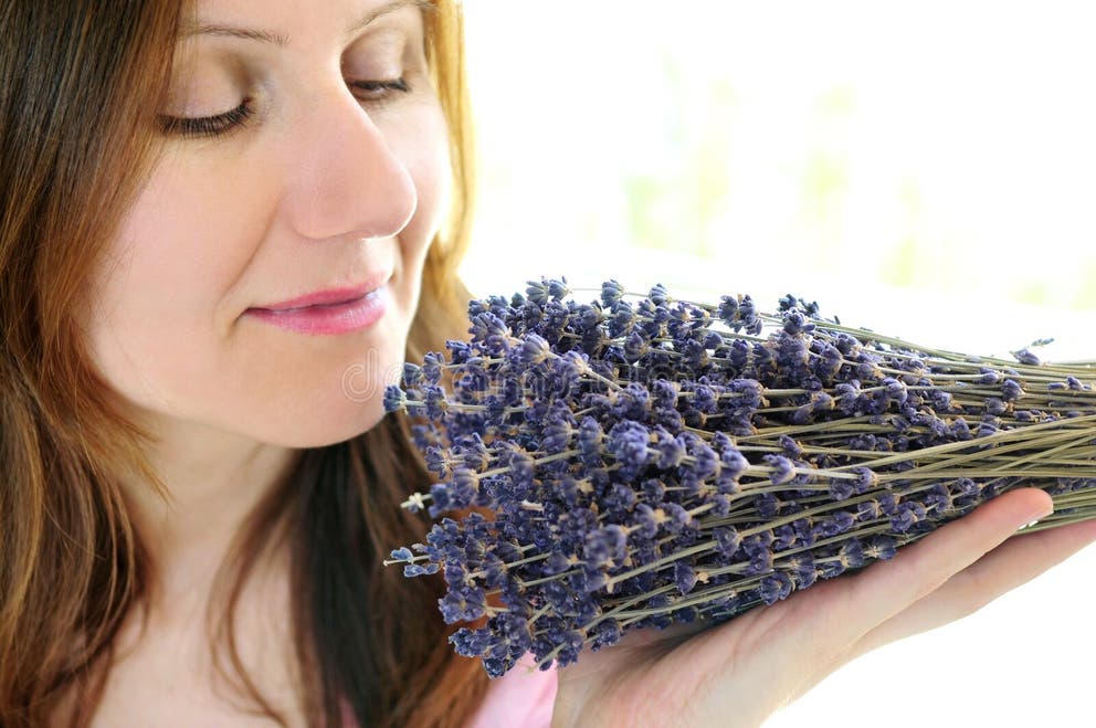 Woman smelling lavender stock image. Image of lavender - 5358547