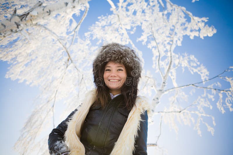 Raccoon Birch Tree Stock Photos - Free & Royalty-Free Stock Photos from ...