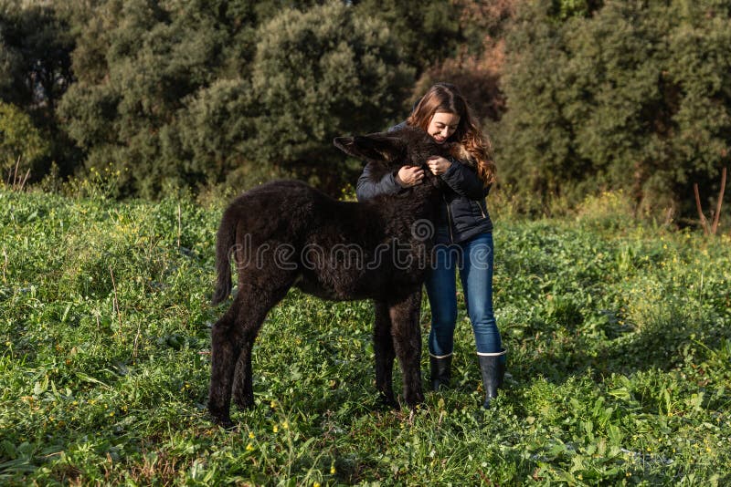 Woman Smiling while Hugging a Donkey Outdoors. Stock Photo - Image of ...