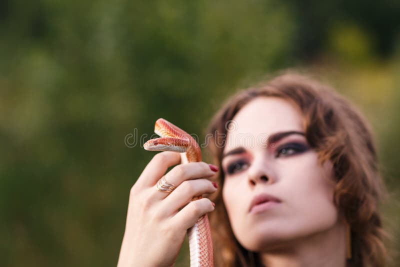 Woman with snake stock image. Image of damask, adult - 45403291