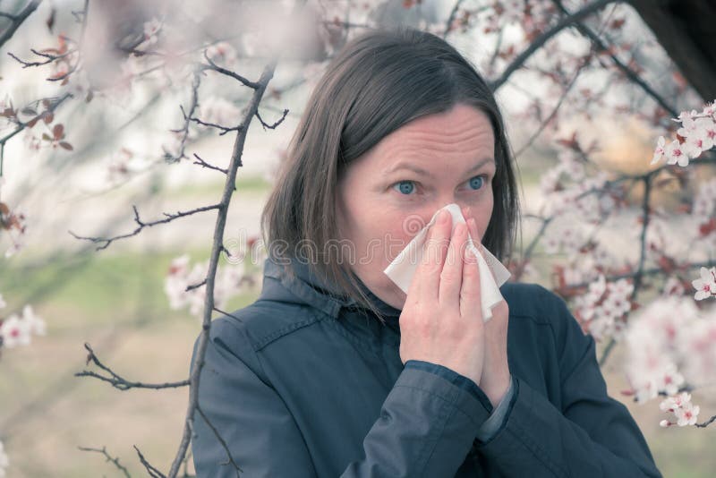Woman Sneezing in Front of Blooming Cherry Tree in Spring Stock Image ...