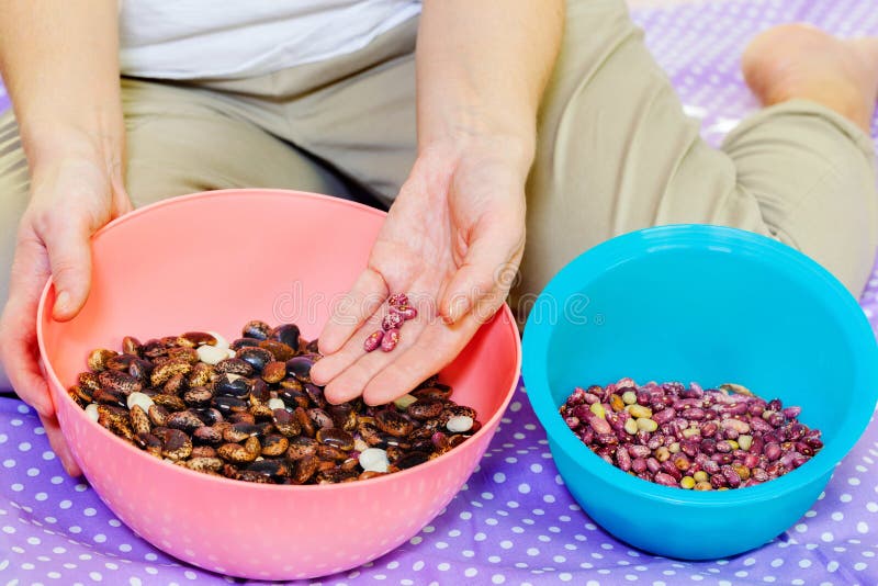 Woman sorting the beans stock image. Image of ingredient - 134024791
