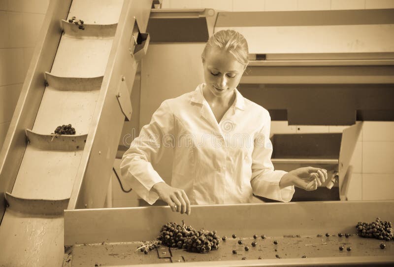 Grape Sorting Machine Stock Photos - Free & Royalty-Free Stock Photos ...