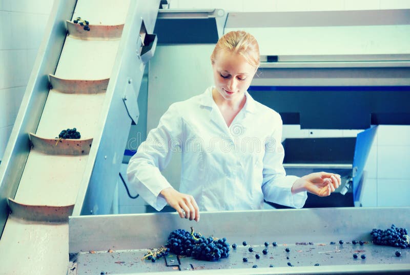 Grape Sorting Machine Stock Photos - Free & Royalty-Free Stock Photos ...