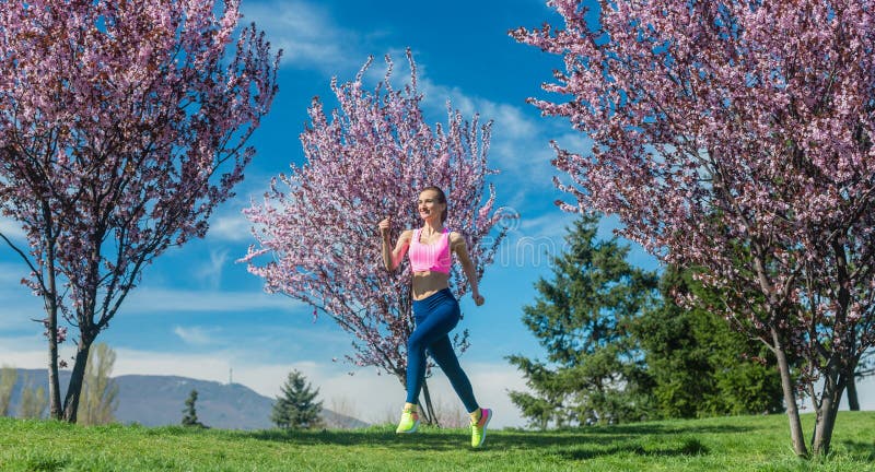 Spring Running through Forest Stock Photo - Image of outdoor, beams ...