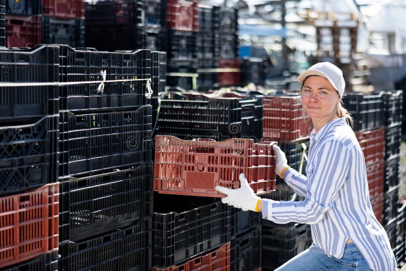 Woman Stacking Plactic Crates in Greenhouse Stock Photo - Image of ...