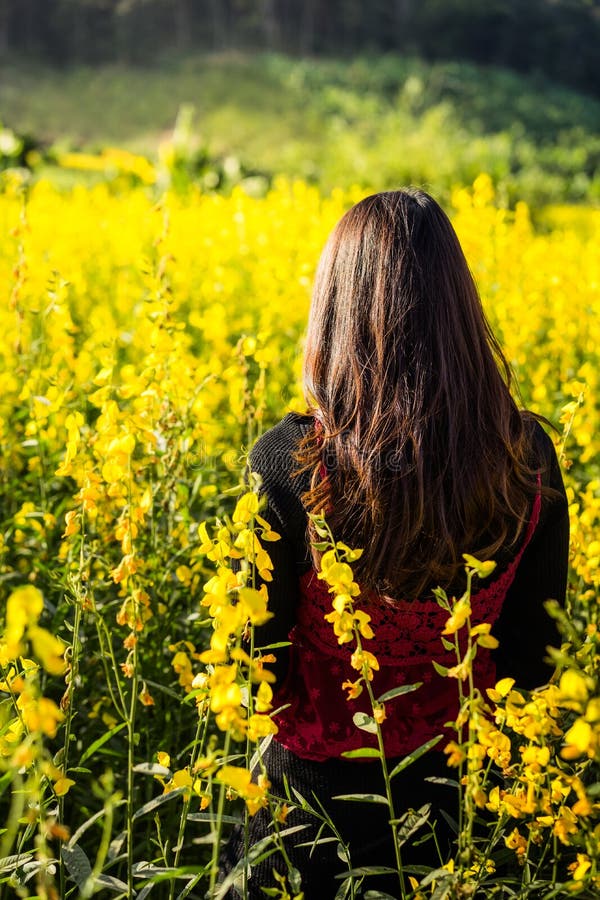 Woman Standing Back Yellow Flower Garden Stock Photos - Free & Royalty ...