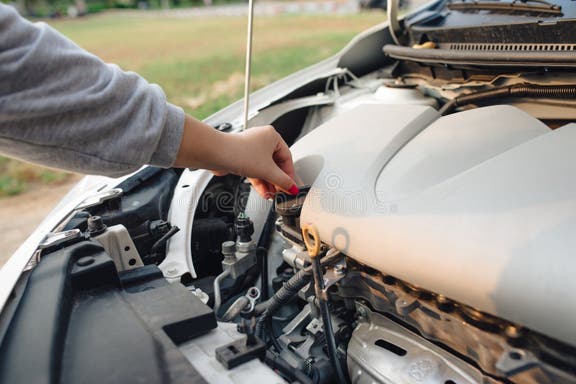 129 Where Can I Find Mistletoe Stock Photos - Free & Royalty-Free Stock ...