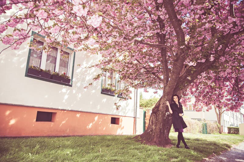 Woman Standing in Shadow of Blooming Tree Stock Photo - Image of human ...