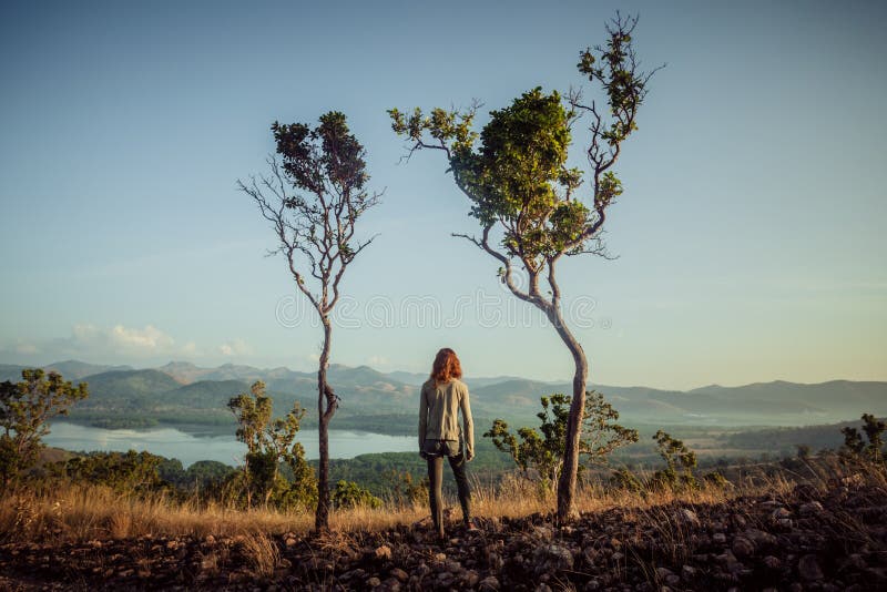 Woman Standing between Two Trees Stock Photo - Image of dusk, grass ...
