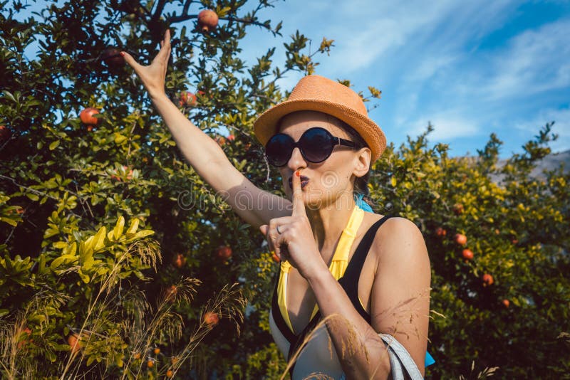 Woman Stealing Pomegranate Fruit from Tree Stock Image - Image of ...
