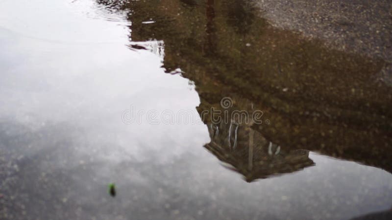 Woman Stepped on a Reflection in a Puddle Stock Footage - Video of ...