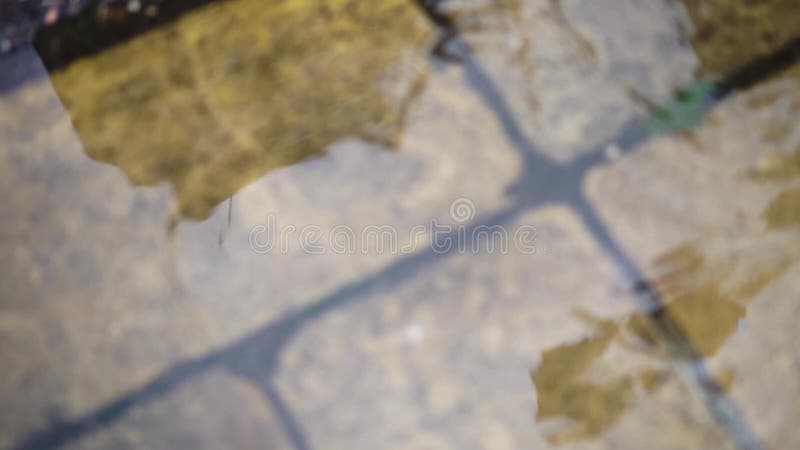 Woman Stepped on a Reflection in a Puddle Stock Footage - Video of ...