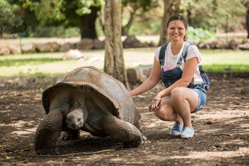 Woman Strokes a Giant Turtle at the Zoo. Stock Photo - Image of nature ...