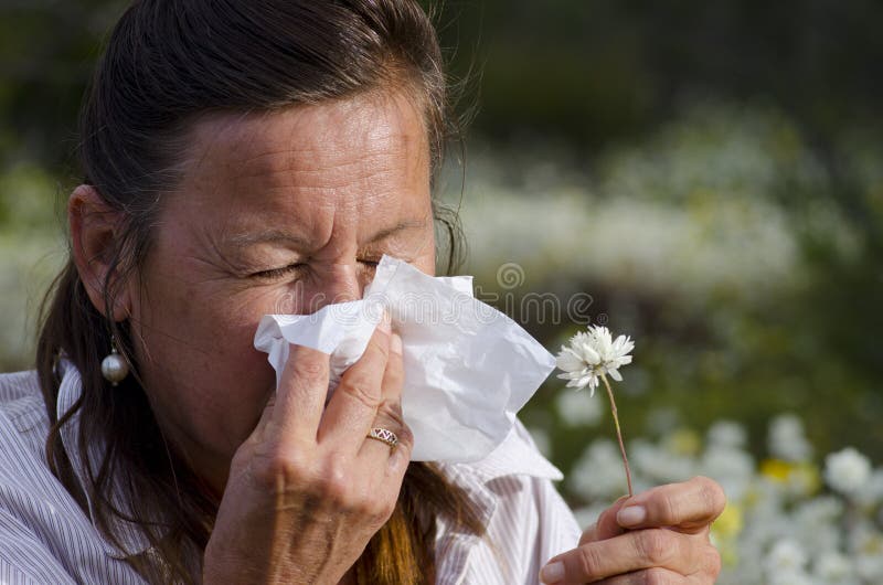 Woman suffering Hay Fever stock image. Image of natural - 21161513