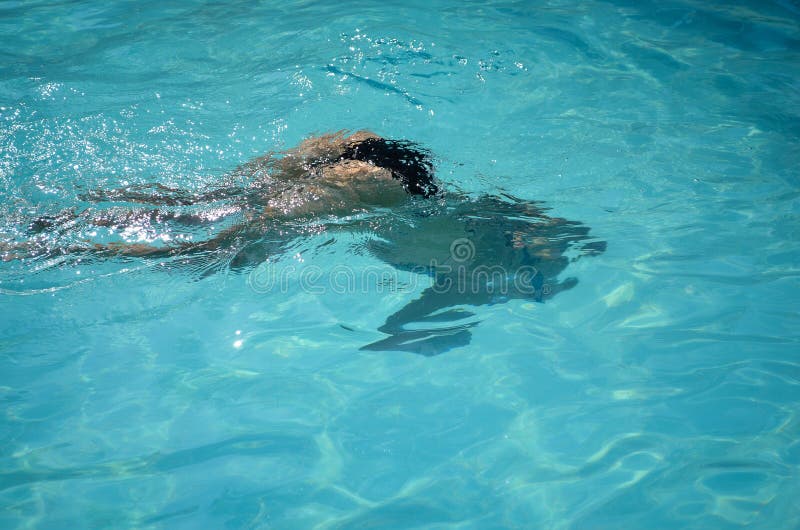 Woman Swimming Underwater in Swimming Pool Stock Photo - Image of ...