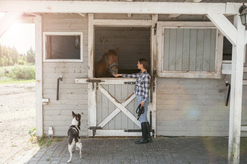 Woman Taking Care of Her Horse in Stable Stock Image - Image of farmer ...