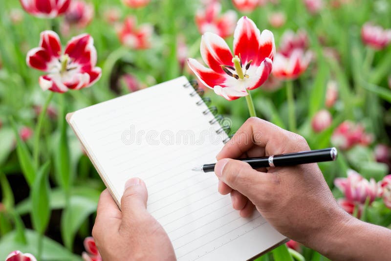 Woman Taking Notes in a White Flower Garden Stock Photo - Image of ...