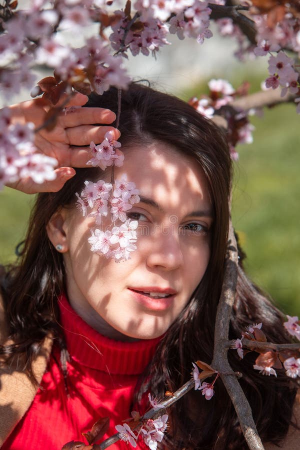 Woman Taking Picture in Blooming Sakura Tree Stock Image - Image of ...