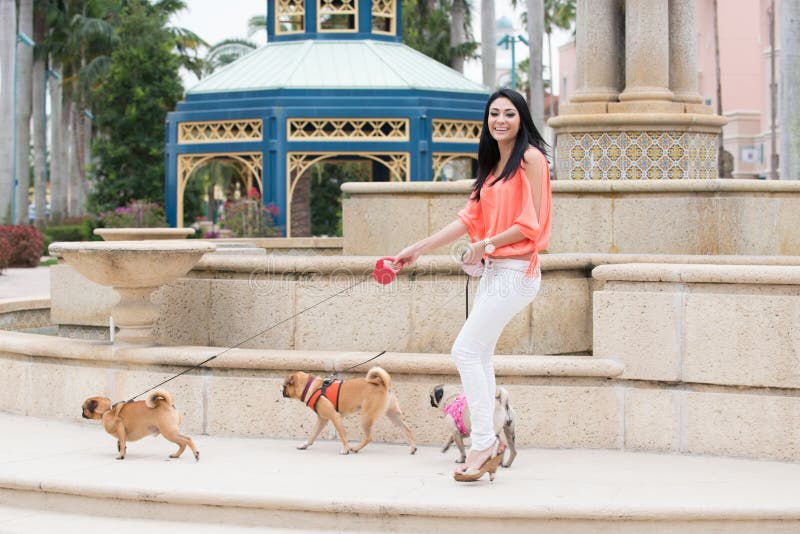 A woman and three dogs stock photo. Image of leash, smile - 29553182