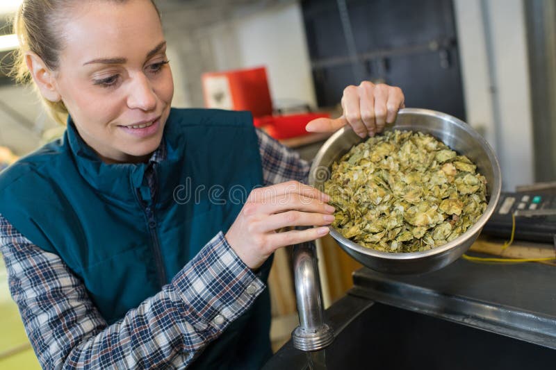 Woman Tipping Bowl Hops into Vat Stock Photo - Image of indoors ...