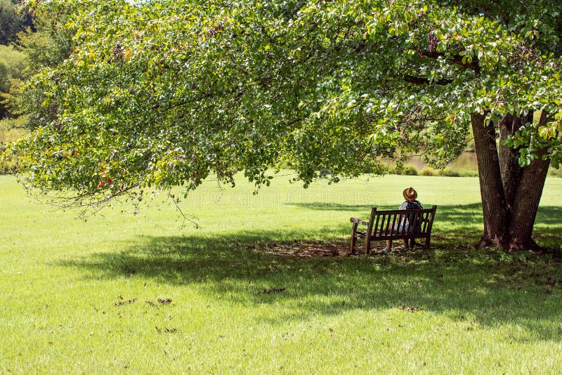 Woman Tourist in Hat is Resting on Bench in the Shade of Tree in the ...
