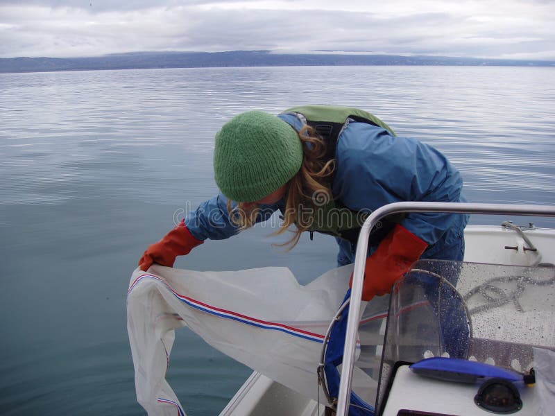 Net 04 Picture. Image: 468198