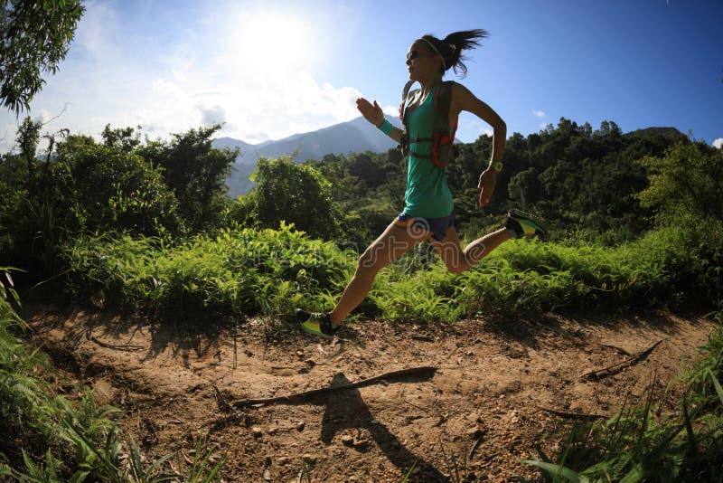 Woman Trail Runner Running in Morning Forest Stock Photo - Image of ...
