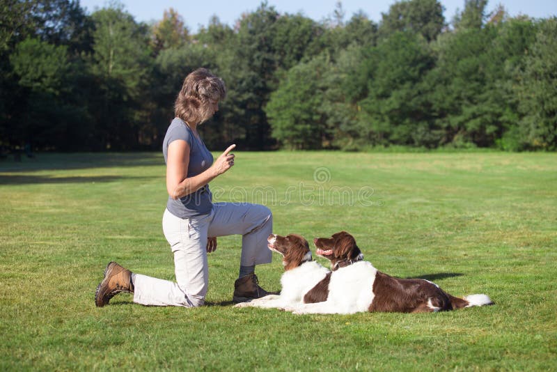 Woman Training Two Dogs in a Meadow Stock Image - Image of expression ...