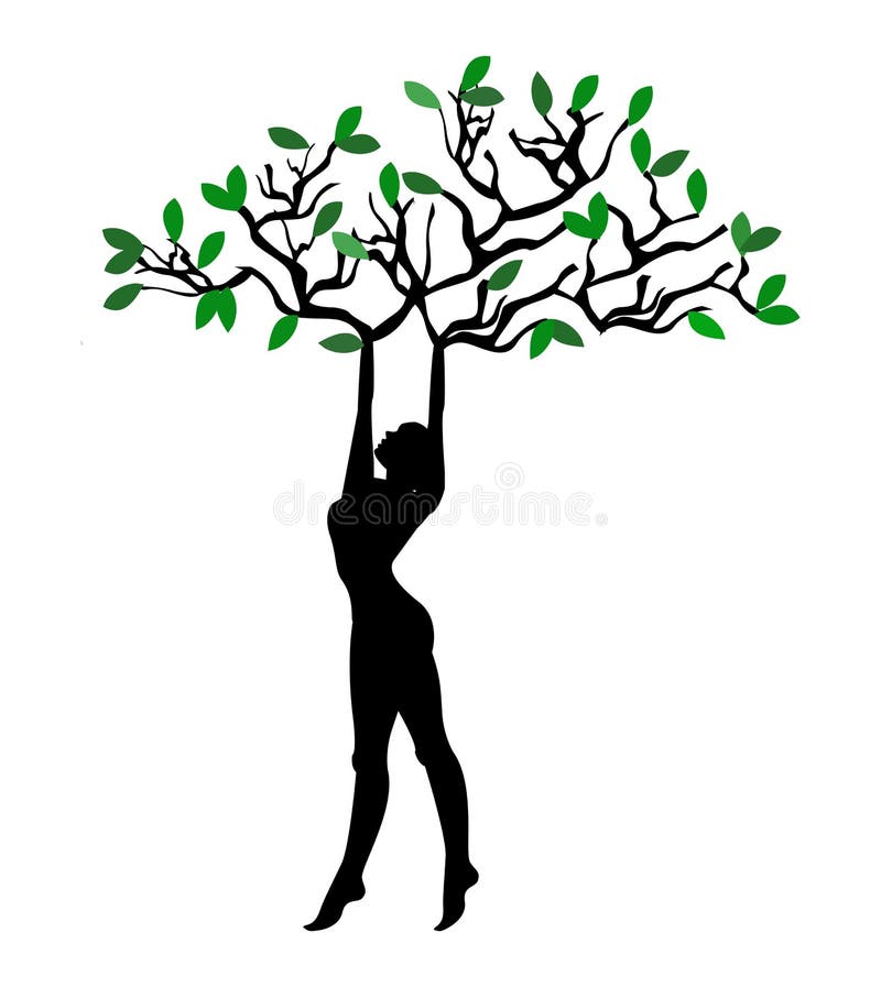 Silhouette Woman Tree White Background Stock Illustrations – 2,246 ...