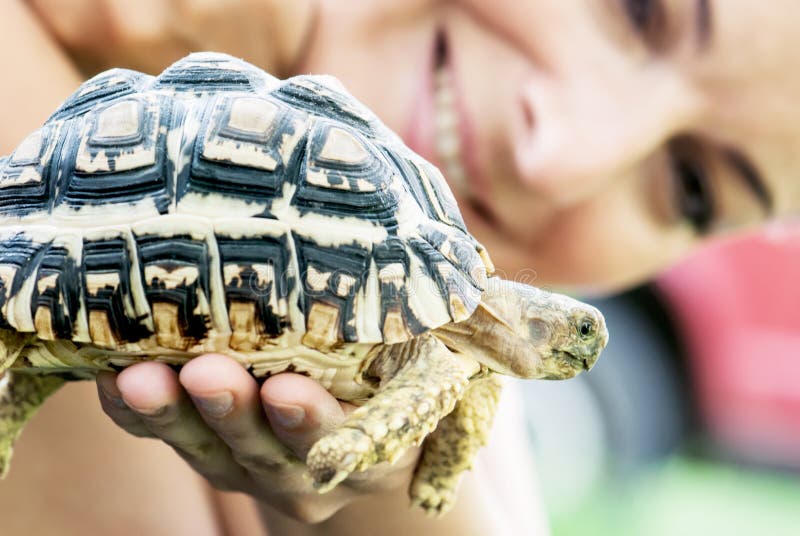 Woman with turtle stock photo. Image of care, leopard - 43041796