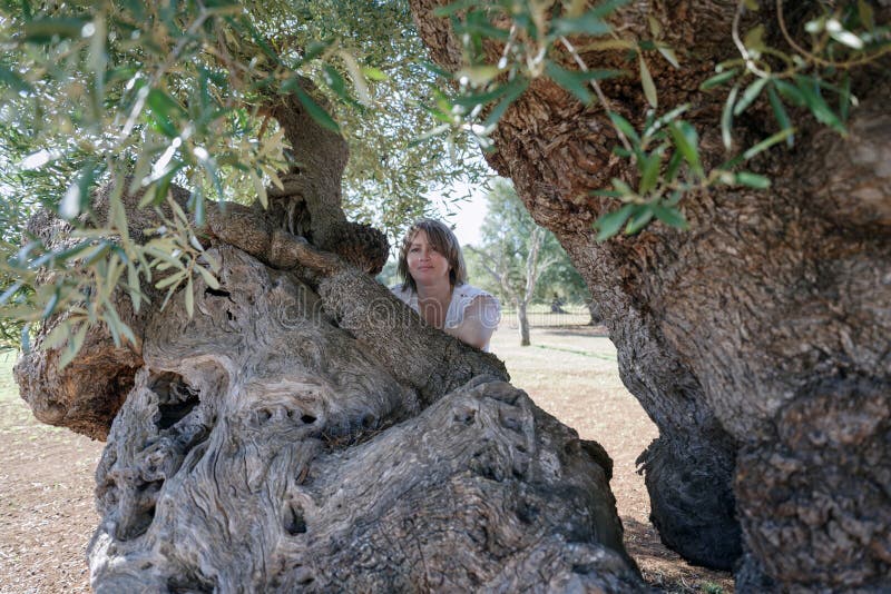 Woman Under Centuries-old Olive Tree, Puglia, Italy Stock Image - Image ...