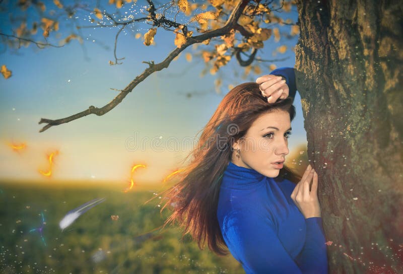 Woman under fall tree stock photo. Image of elegant, person - 27843586