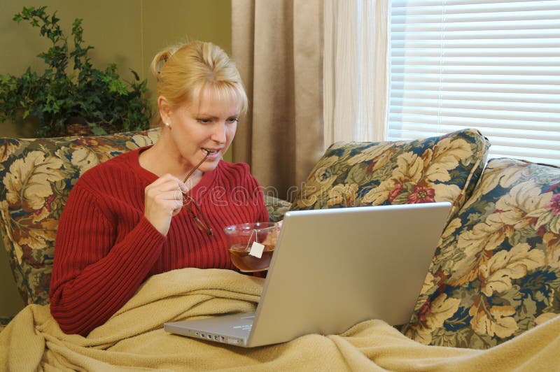 Woman Using Laptop at Home stock image. Image of professional - 2772267