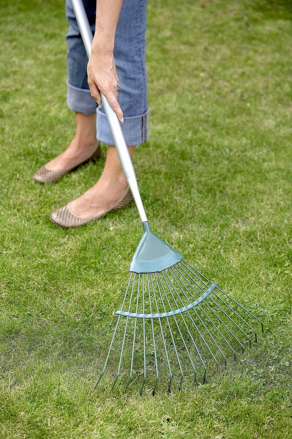 Woman Using a Rake. Conceptual Image Stock Image - Image of people ...