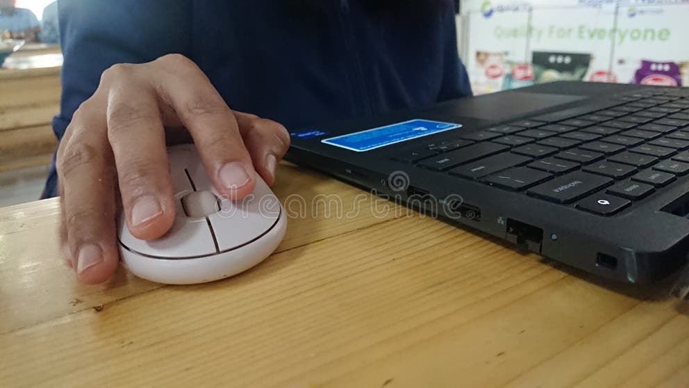 Woman Using Wireless Mouse and Laptop for Work Stock Photo - Image of ...
