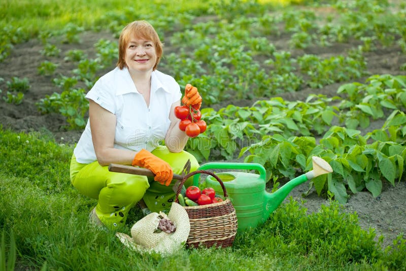 Woman with Vegetables Harvest Stock Image - Image of hobbies ...