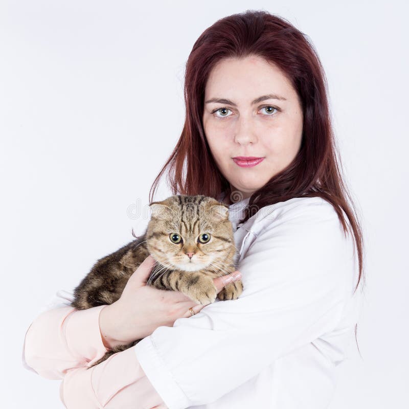 Woman Vet in Uniform with Scottish Fold Stock Photo - Image of ...