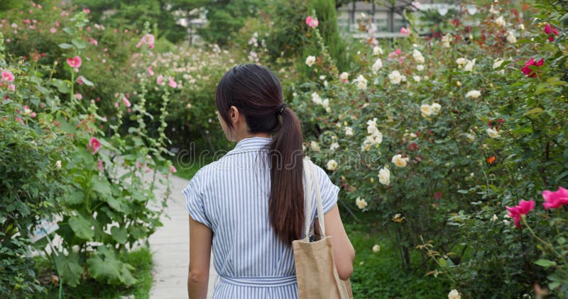 Woman Walk into Rose Garden Stock Image - Image of flower, gorgeous ...