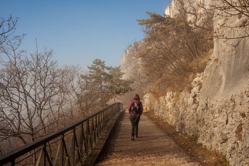Woman Walking Alone on Rural Misty Path Editorial Image - Image of ...