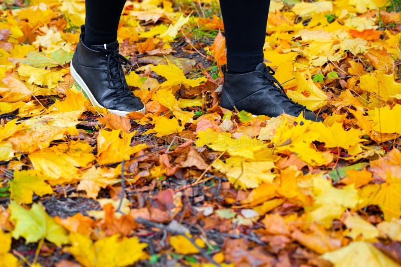 Woman Walking through Autumn Leaves in the Park Stock Photo - Image of ...