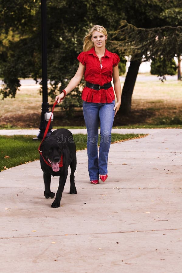 Woman walking black lab stock image. Image of pretty, jeans - 8489003