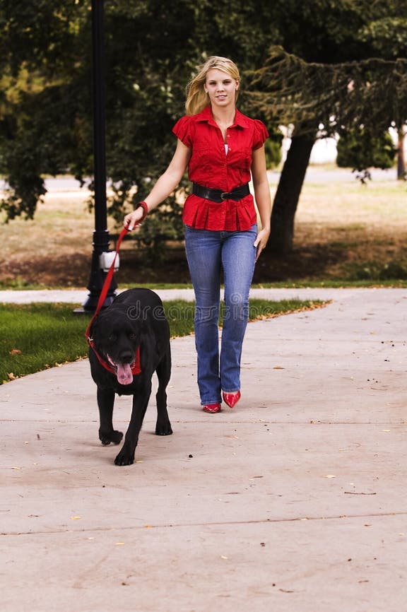 Woman walking black lab stock image. Image of pretty, jeans - 8489003