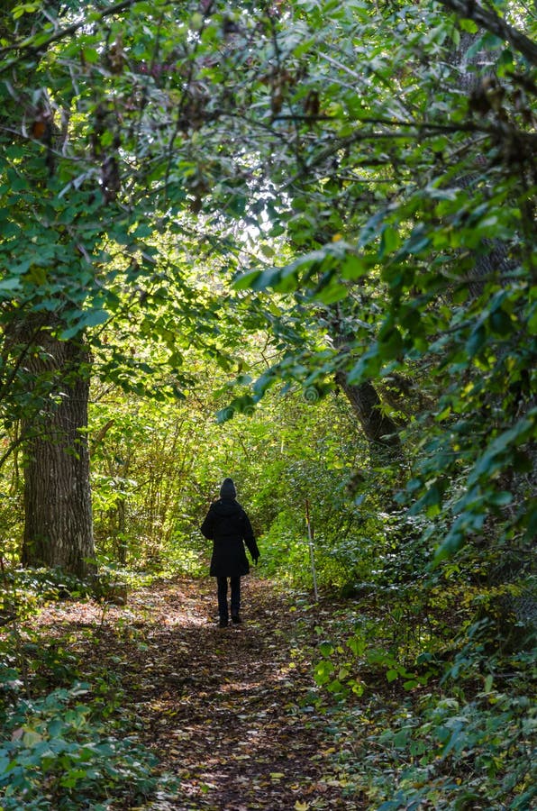 Woman Walking on a Footpath with Fall Colored Leaves Stock Photo ...