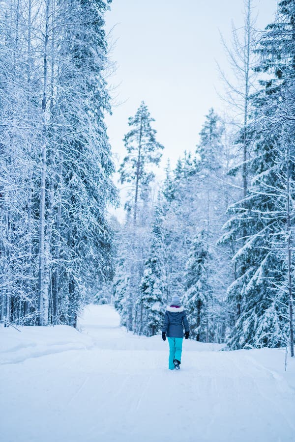 Woman Walking through the Frozen Forest on a Path Covered with Snow ...