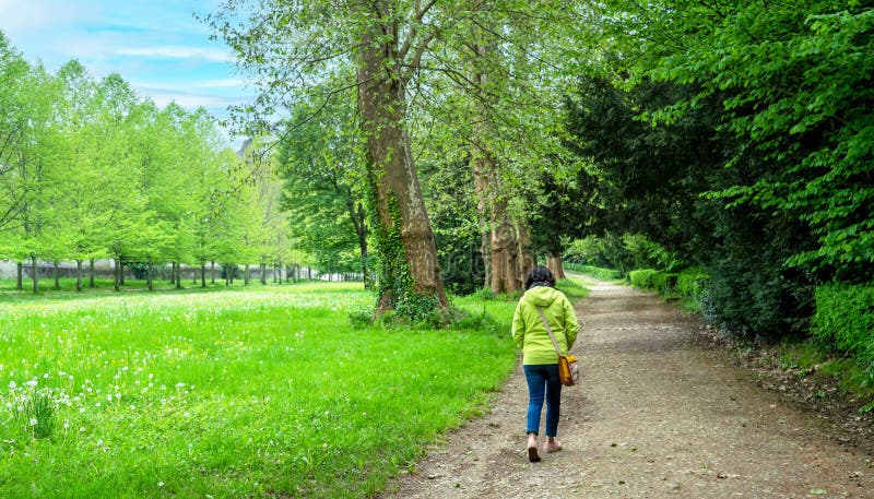 Woman Walking in the Park, Spring Stock Photo - Image of sport, female ...