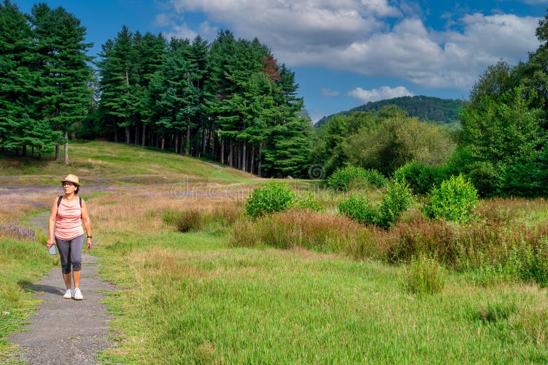 A Woman is Walking on a Path in a Grassy Field Stock Image - Image of ...