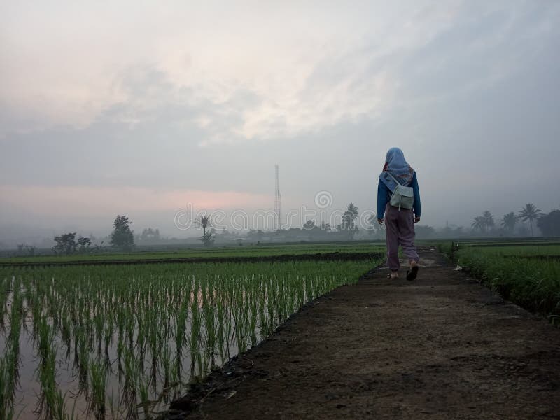 Woman Walking on the Side of the Village Road Stock Photo - Image of ...