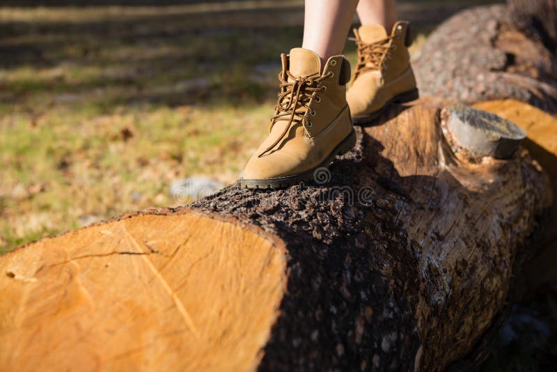 Woman Walking on Tree Trunk in the Park Stock Image - Image of holiday ...